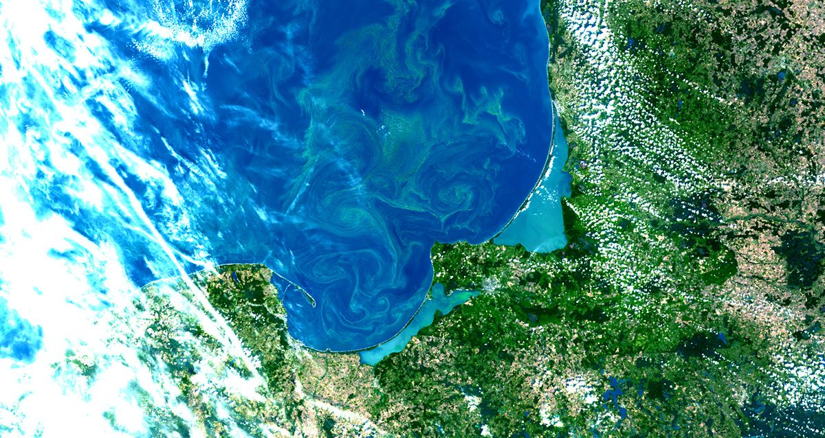 Midsummer algae bloom in the Baltic Sea – Илья Болховский